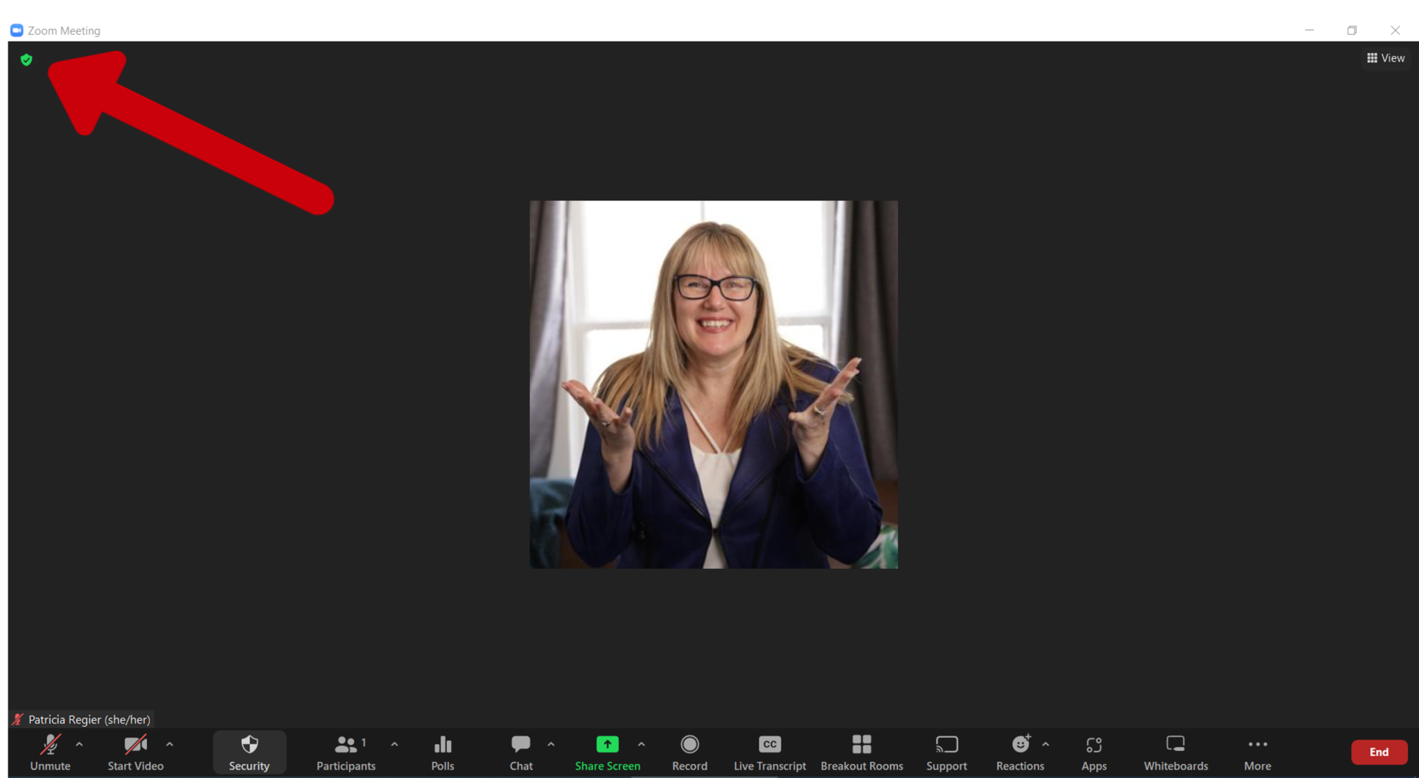 THE MYSTERY OF THE ZOOM SHIELD | Regier Education Inc.