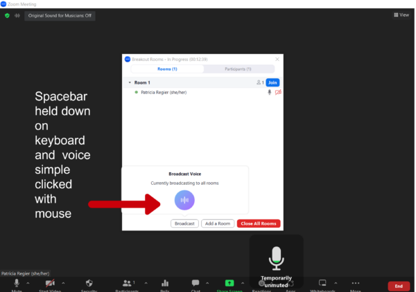 BROADCAST VOICE TO ZOOM BREAKOUTS | Regier Education Inc.